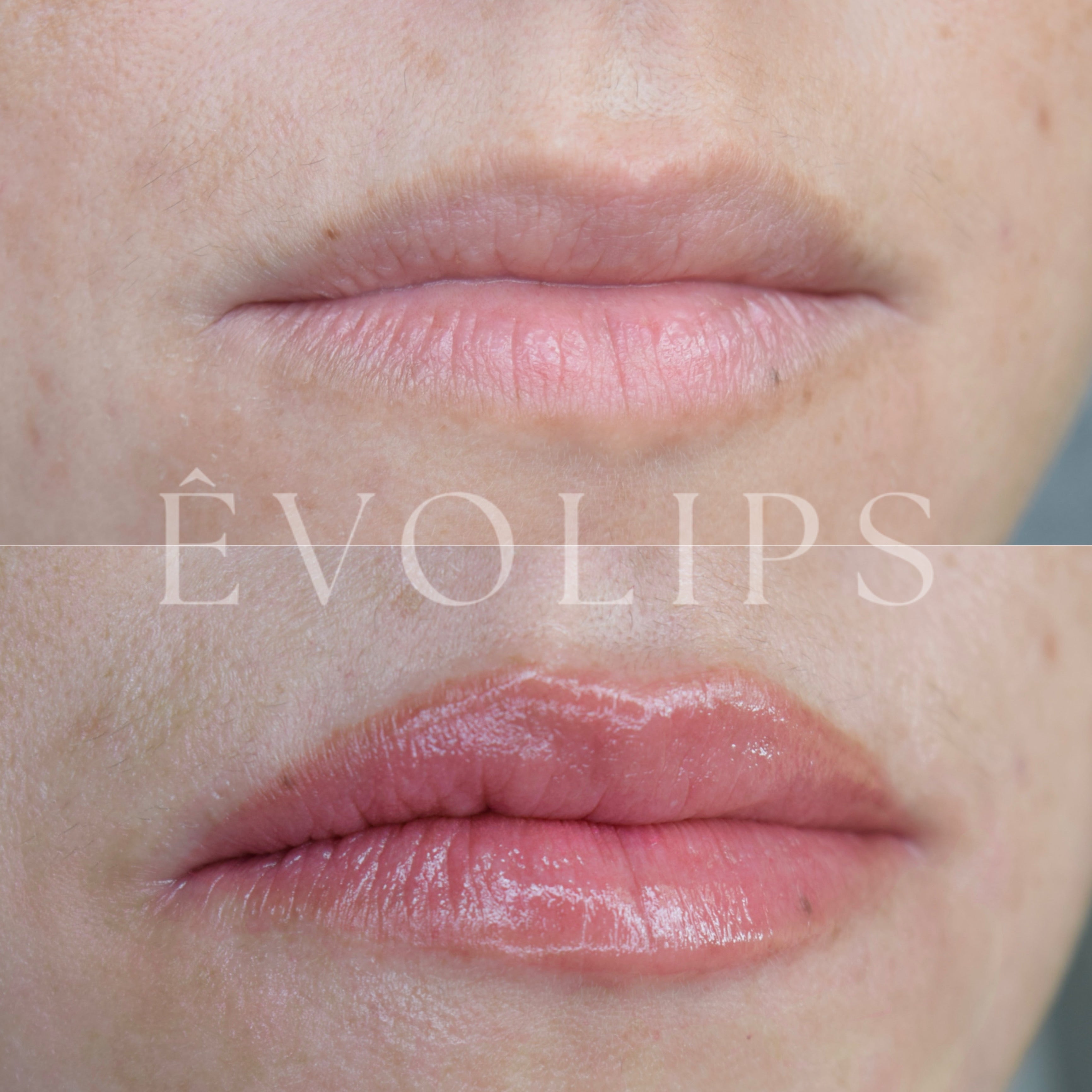 ÊvoLips Lip Blush | Signature Lip System by ÊVO